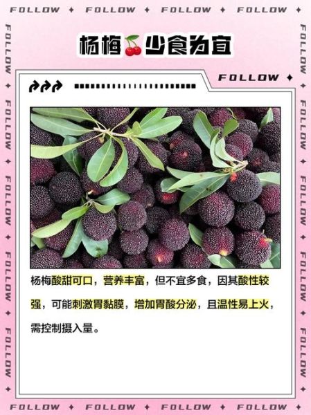 发物最厉害的水果有哪些_哪些水果容易诱发旧疾-第2张图片-山城妙识