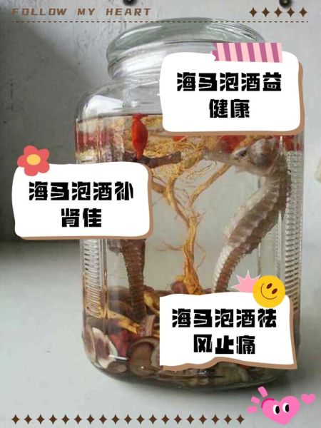 海马配什么药材补肾最佳_海马补肾壮阳配方-第2张图片-山城妙识 海马配什么药材补肾最佳_海马补肾壮阳配方-第2张图片-山城妙识