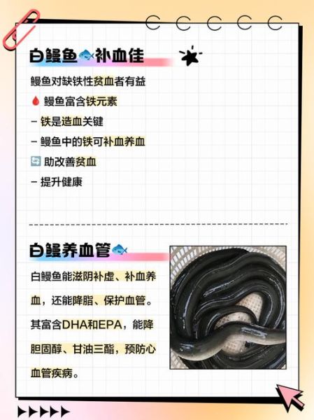 白鳗鱼多少钱一斤_白鳗鱼价格行情-第2张图片-山城妙识