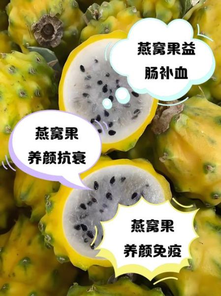 燕窝果的功效与作用_燕窝果的禁忌有哪些-第3张图片-山城妙识