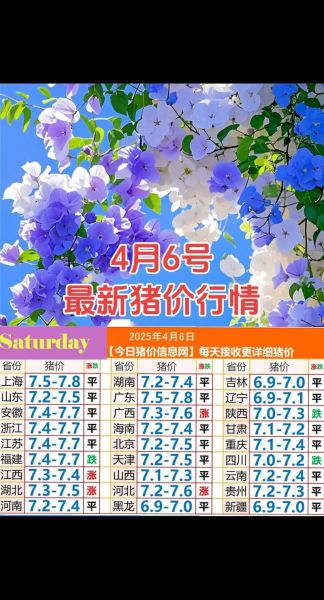 今日全国猪价多少钱一斤_2024年6月最新猪价走势-第2张图片-山城妙识 今日全国猪价多少钱一斤_2024年6月最新猪价走势-第2张图片-山城妙识