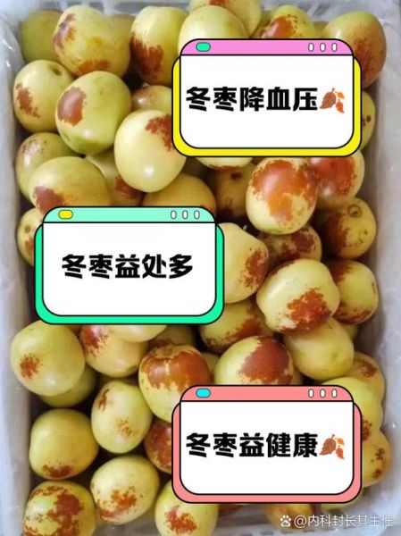 脆冬枣热量高吗_脆冬枣减肥能吃吗-第1张图片-山城妙识 脆冬枣热量高吗_脆冬枣减肥能吃吗-第1张图片-山城妙识