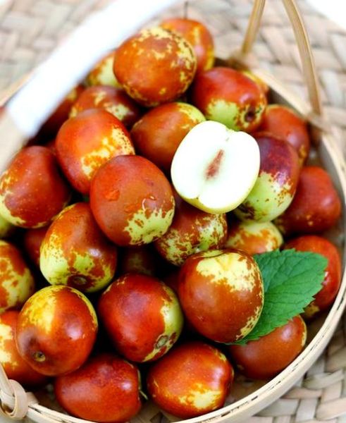 脆冬枣热量高吗_脆冬枣减肥能吃吗-第3张图片-山城妙识 脆冬枣热量高吗_脆冬枣减肥能吃吗-第3张图片-山城妙识