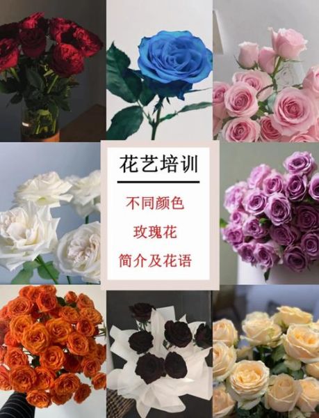 玫瑰花的花语是什么_不同颜色玫瑰代表什么-第3张图片-山城妙识