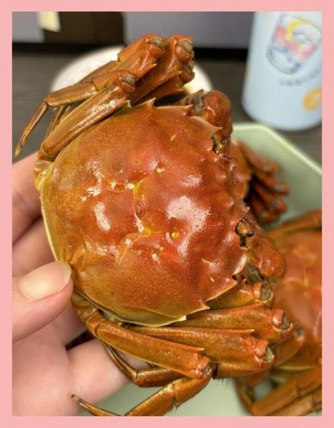 六月黄大闸蟹是什么_六月黄和成熟蟹区别-第2张图片-山城妙识 六月黄大闸蟹是什么_六月黄和成熟蟹区别-第2张图片-山城妙识