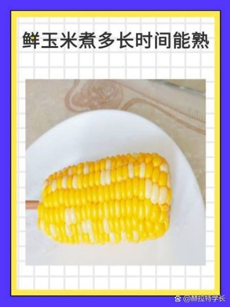 新鲜玉米煮几分钟能熟_怎么判断玉米熟了没-第1张图片-山城妙识 新鲜玉米煮几分钟能熟_怎么判断玉米熟了没-第1张图片-山城妙识