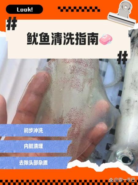 鱿鱼怎么清洗干净_新鲜鱿鱼处理步骤-第1张图片-山城妙识
