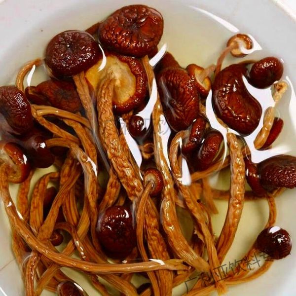 干茶树菇要煮多久才熟_干茶树菇泡发后煮多久能熟-第2张图片-山城妙识 干茶树菇要煮多久才熟_干茶树菇泡发后煮多久能熟-第2张图片-山城妙识