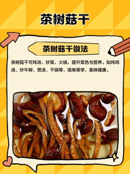 干茶树菇要煮多久才熟_干茶树菇泡发后煮多久能熟-第3张图片-山城妙识 干茶树菇要煮多久才熟_干茶树菇泡发后煮多久能熟-第3张图片-山城妙识