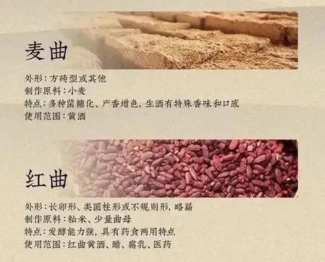 酒曲可以发酵面粉吗_酒曲和酵母的区别-第2张图片-山城妙识 酒曲可以发酵面粉吗_酒曲和酵母的区别-第2张图片-山城妙识