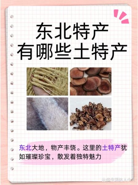 东北特产有哪些_东北特产送人推荐-第2张图片-山城妙识