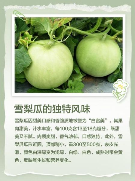 梨瓜怎么吃_梨瓜的功效与作用-第3张图片-山城妙识