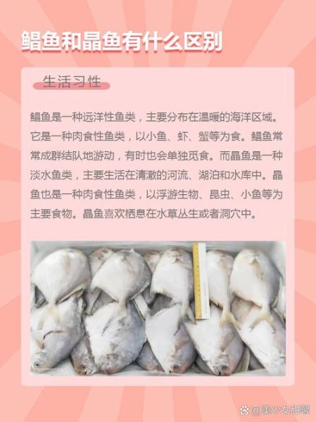 一平鱼二晶鱼三鲳鱼区别_哪种最好吃-第1张图片-山城妙识 一平鱼二晶鱼三鲳鱼区别_哪种最好吃-第1张图片-山城妙识