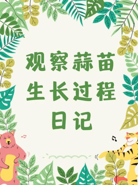 蒜苗怎么种_蒜苗种植时间和方法-第2张图片-山城妙识
