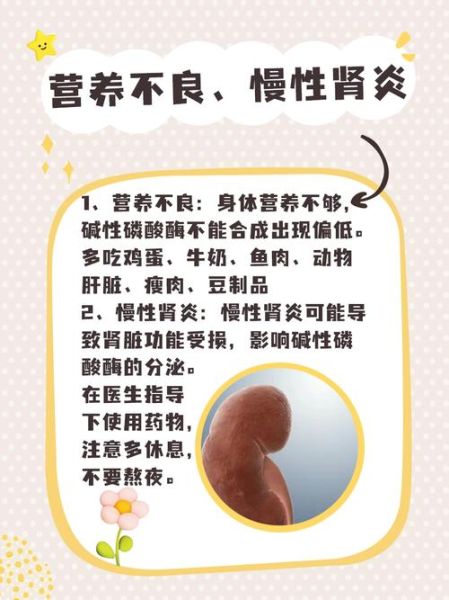 碱性磷酸酶偏低说明什么_偏低原因有哪些-第1张图片-山城妙识 碱性磷酸酶偏低说明什么_偏低原因有哪些-第1张图片-山城妙识