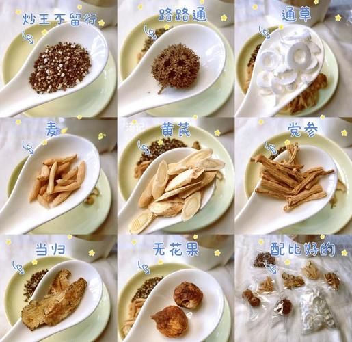 通草和什么炖最催奶_通草炖汤下奶食谱-第1张图片-山城妙识