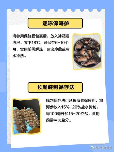 泡发好的海参怎么保存_冷藏还是冷冻-第2张图片-山城妙识 泡发好的海参怎么保存_冷藏还是冷冻-第2张图片-山城妙识