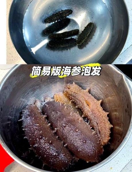 泡发好的海参怎么保存_冷藏还是冷冻-第1张图片-山城妙识 泡发好的海参怎么保存_冷藏还是冷冻-第1张图片-山城妙识