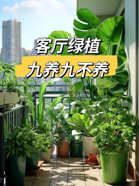 客厅放什么植物好_客厅植物摆放风水禁忌-第1张图片-山城妙识