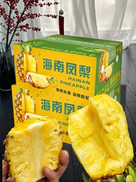 凤梨价格多少钱一斤_凤梨多少钱一斤2024-第3张图片-山城妙识 凤梨价格多少钱一斤_凤梨多少钱一斤2024-第3张图片-山城妙识