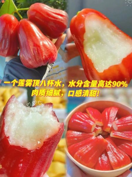 莲雾八杯水真的吗_莲雾含水量多少-第1张图片-山城妙识