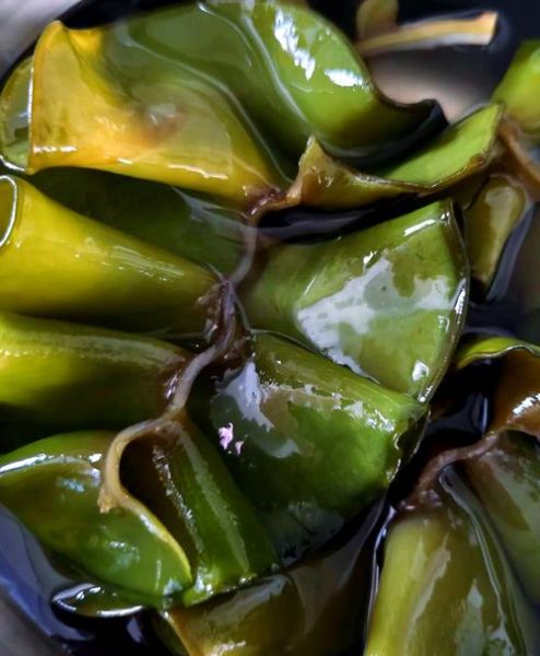 海木耳不能和什么一起吃_海木耳相克食物有哪些-第3张图片-山城妙识