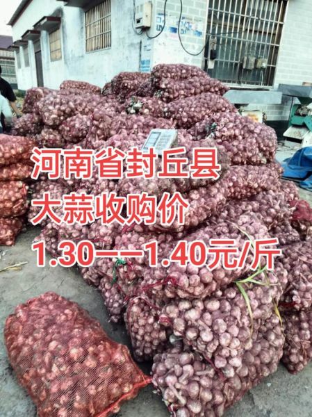 今日大蒜价格多少钱一斤_蒜通天下最新行情-第1张图片-山城妙识