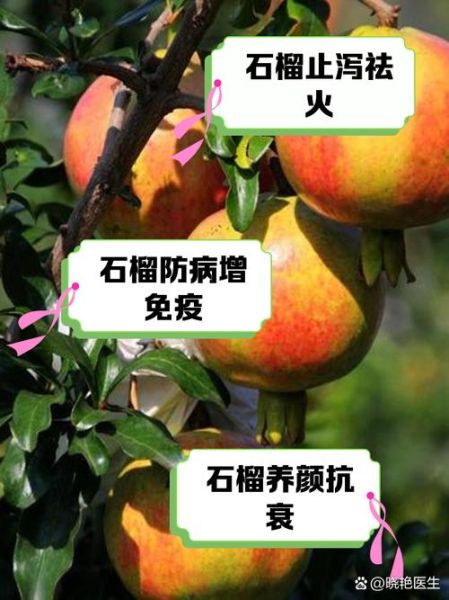 石榴可以连籽一起吃吗_吃石榴籽的好处与坏处-第2张图片-山城妙识 石榴可以连籽一起吃吗_吃石榴籽的好处与坏处-第2张图片-山城妙识