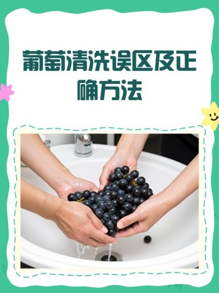 如何快速洗葡萄_葡萄怎么洗干净-第2张图片-山城妙识