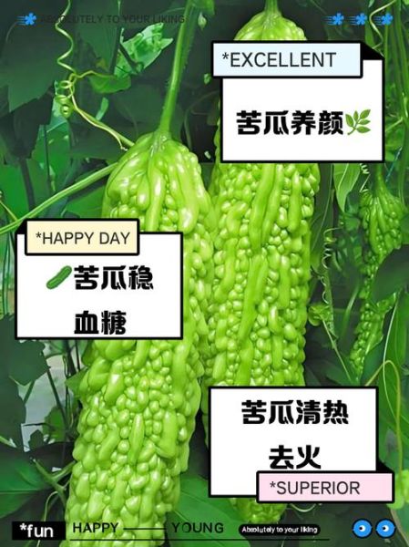 每天吃苦瓜有害处吗_苦瓜吃多了会怎样-第1张图片-山城妙识