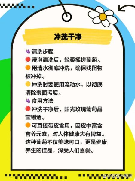 如何快速洗葡萄_葡萄怎么洗干净-第3张图片-山城妙识