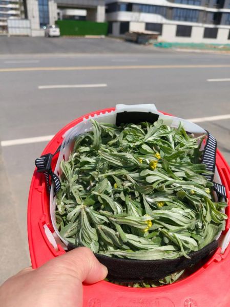 清明粿怎么做_清明粿用什么叶子-第2张图片-山城妙识