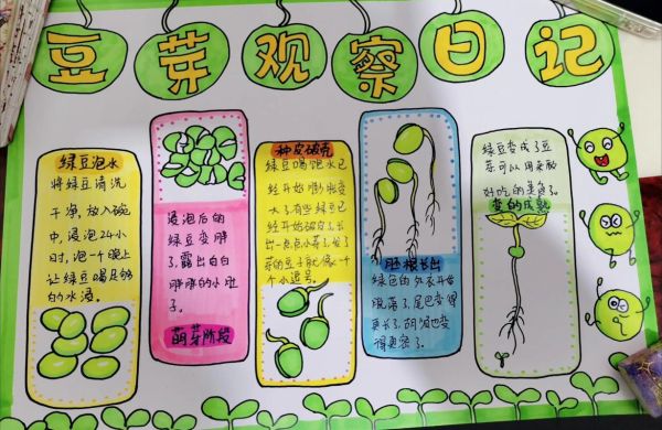 豆芽怎么发芽_豆芽发芽过程记录-第1张图片-山城妙识