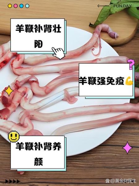 羊鞭的功效与作用_羊鞭怎么吃最补肾-第2张图片-山城妙识