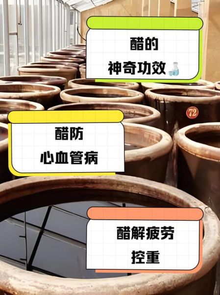 吃醋的好处有哪些_吃醋能减肥吗-第2张图片-山城妙识 吃醋的好处有哪些_吃醋能减肥吗-第2张图片-山城妙识