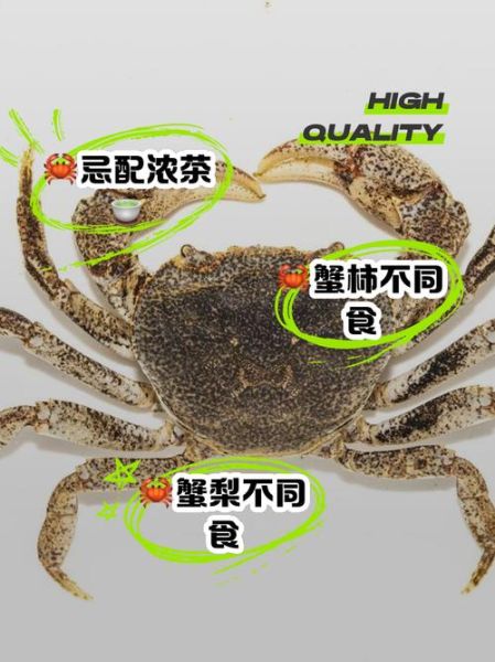 海蟹不能和哪些食物同吃_吃了会怎样-第3张图片-山城妙识 海蟹不能和哪些食物同吃_吃了会怎样-第3张图片-山城妙识