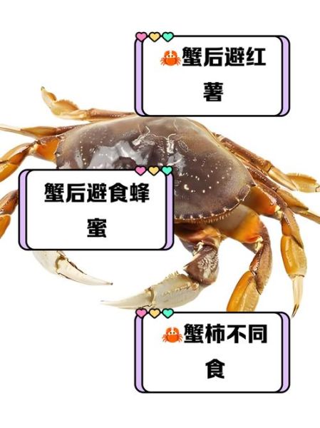 海蟹不能和哪些食物同吃_吃了会怎样-第2张图片-山城妙识 海蟹不能和哪些食物同吃_吃了会怎样-第2张图片-山城妙识