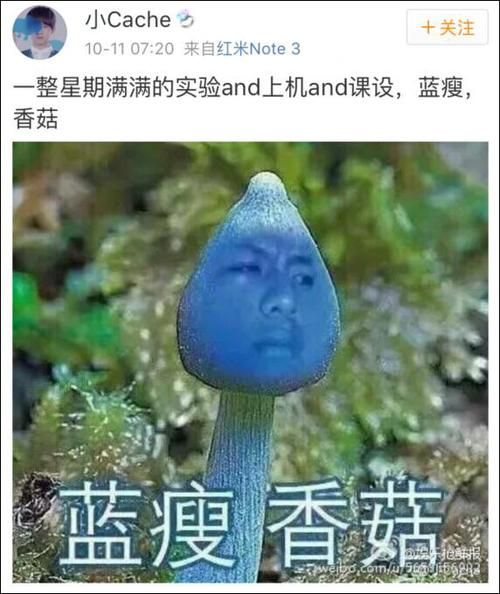 蓝瘦香菇是什么意思_蓝瘦香菇视频出处-第2张图片-山城妙识
