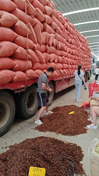 八角多少钱一斤_八角价格最新行情-第2张图片-山城妙识