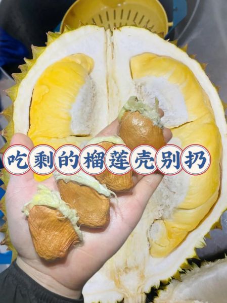 榴莲怎么开壳图解_榴莲开壳最简单的方法-第1张图片-山城妙识