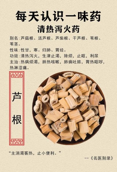 芦根的功效与作用_芦根怎么食用-第1张图片-山城妙识 芦根的功效与作用_芦根怎么食用-第1张图片-山城妙识