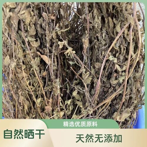 仙草奶茶的仙草是什么_仙草是凉粉草吗-第1张图片-山城妙识