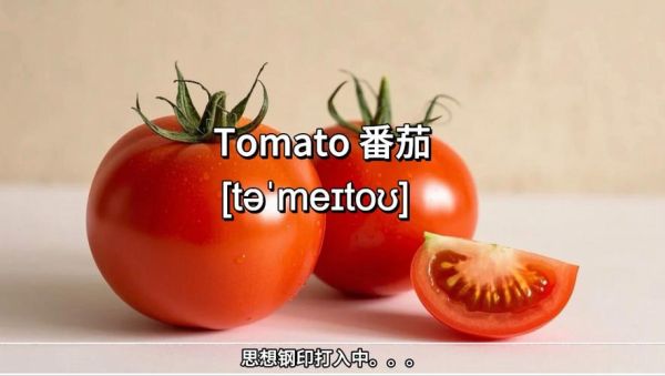 how_to_make_tomato_egg_stir_fry_tomato_egg_recipe_easy-第2张图片-山城妙识 how_to_make_tomato_egg_stir_fry_tomato_egg_recipe_easy-第2张图片-山城妙识