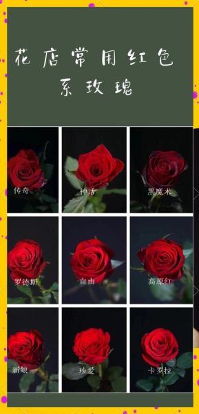 玫瑰花语是什么_不同朵数含义-第3张图片-山城妙识 玫瑰花语是什么_不同朵数含义-第3张图片-山城妙识