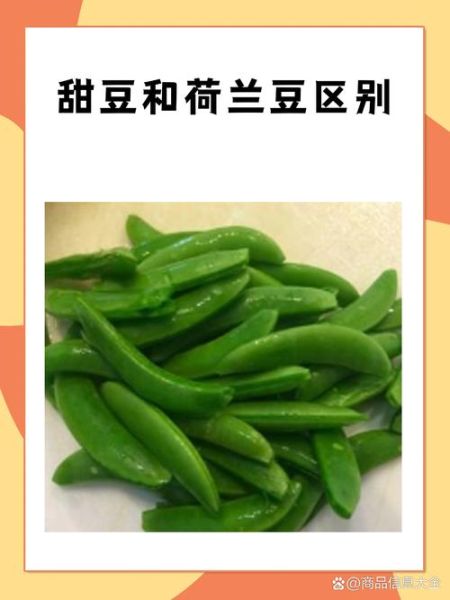 荷兰豆和豌豆一样吗_区别与营养价值-第2张图片-山城妙识