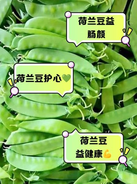荷兰豆和豌豆一样吗_区别与营养价值-第1张图片-山城妙识