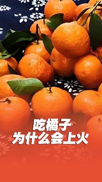 一天吃几个桔子_会上火吗-第2张图片-山城妙识