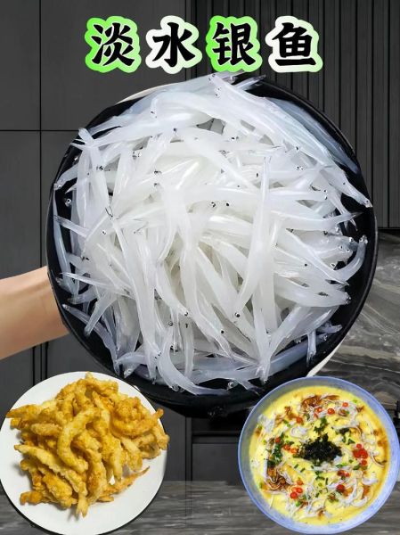 新鲜银鱼多少钱一斤_银鱼价格行情-第2张图片-山城妙识 新鲜银鱼多少钱一斤_银鱼价格行情-第2张图片-山城妙识