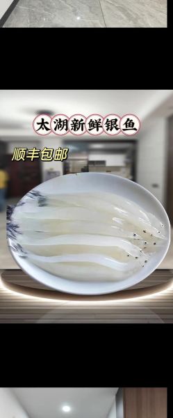 新鲜银鱼多少钱一斤_银鱼价格行情-第3张图片-山城妙识 新鲜银鱼多少钱一斤_银鱼价格行情-第3张图片-山城妙识