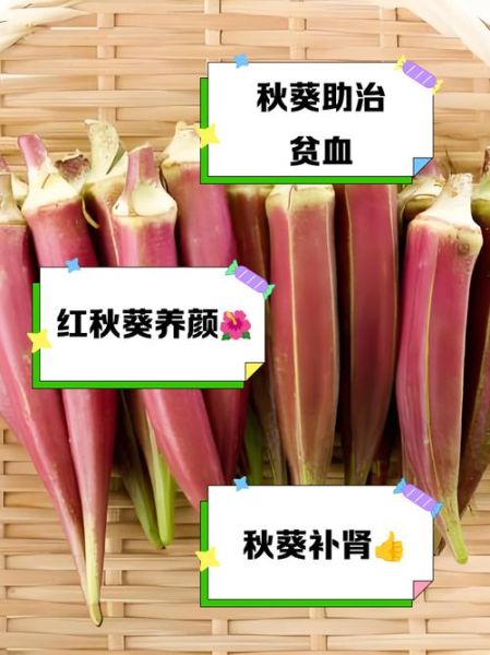 红秋葵的功效与作用_红秋葵怎么吃最营养-第1张图片-山城妙识 红秋葵的功效与作用_红秋葵怎么吃最营养-第1张图片-山城妙识